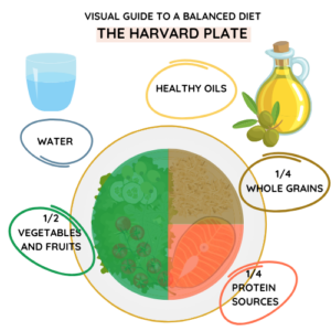 Harvard Eating Plate - Ana Díaz Dietitian
